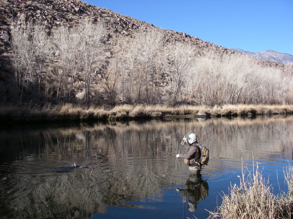 Best Trout Fishing California For Trophy Rainbow, Brown, Cutthroat Trout